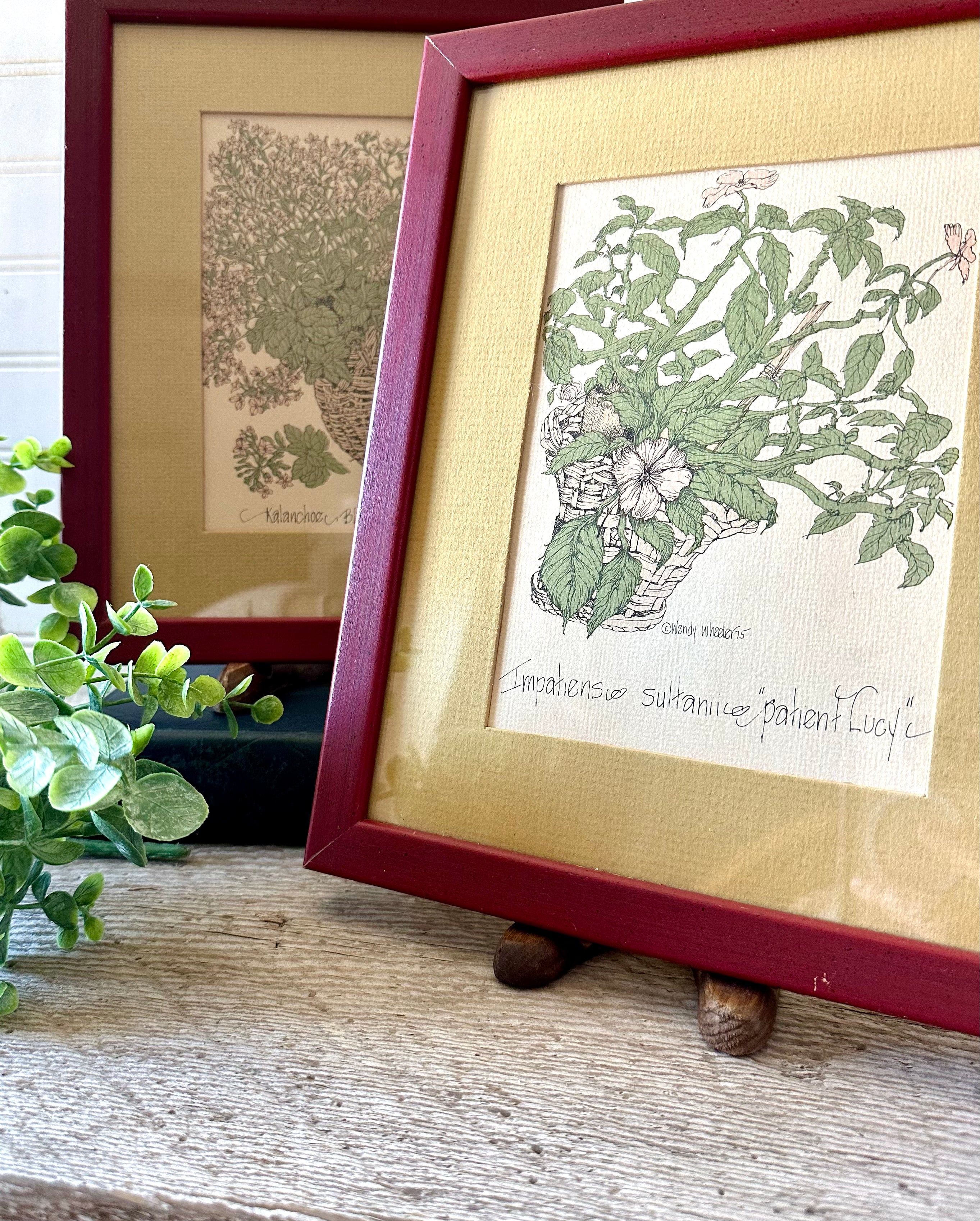 Set of “Wendy Wheeler” Botanical Framed Prints | The Curated Cottage
